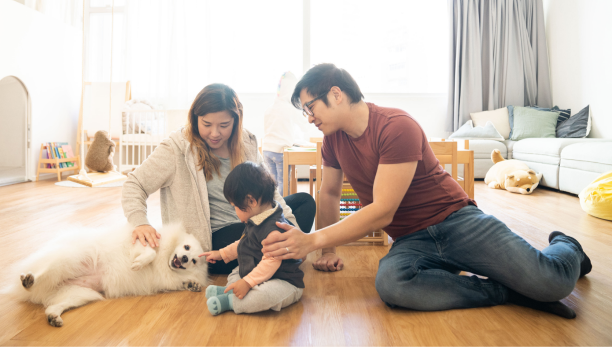 Expert advice on raising young kids with canines | Animal Humane Society