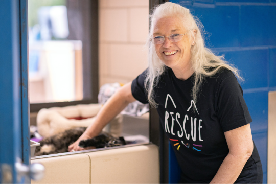 How to celebrate Pride with your pets | Animal Humane Society