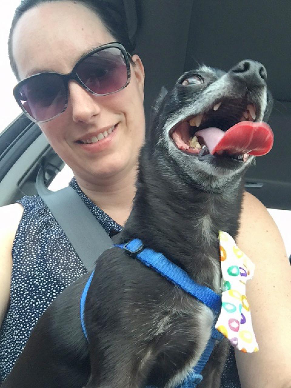 Volunteer profile: Megan Vail | Animal Humane Society