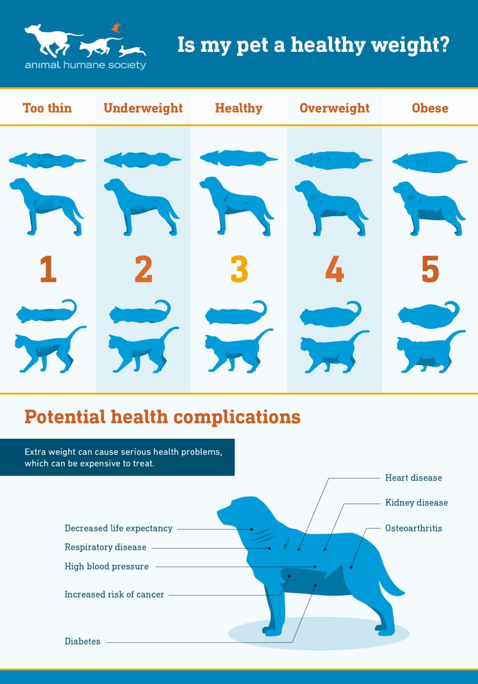 How to tell if your pet is obese — and why it matters | Animal Humane ...