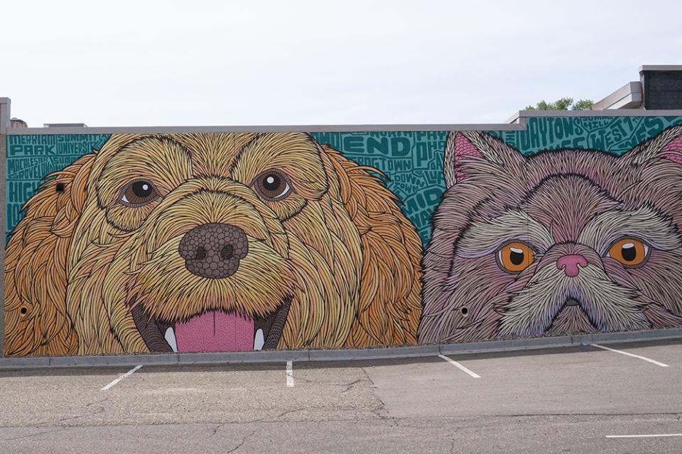 Local artist Chuck U completes mural on AHS Veterinary Center in St ...