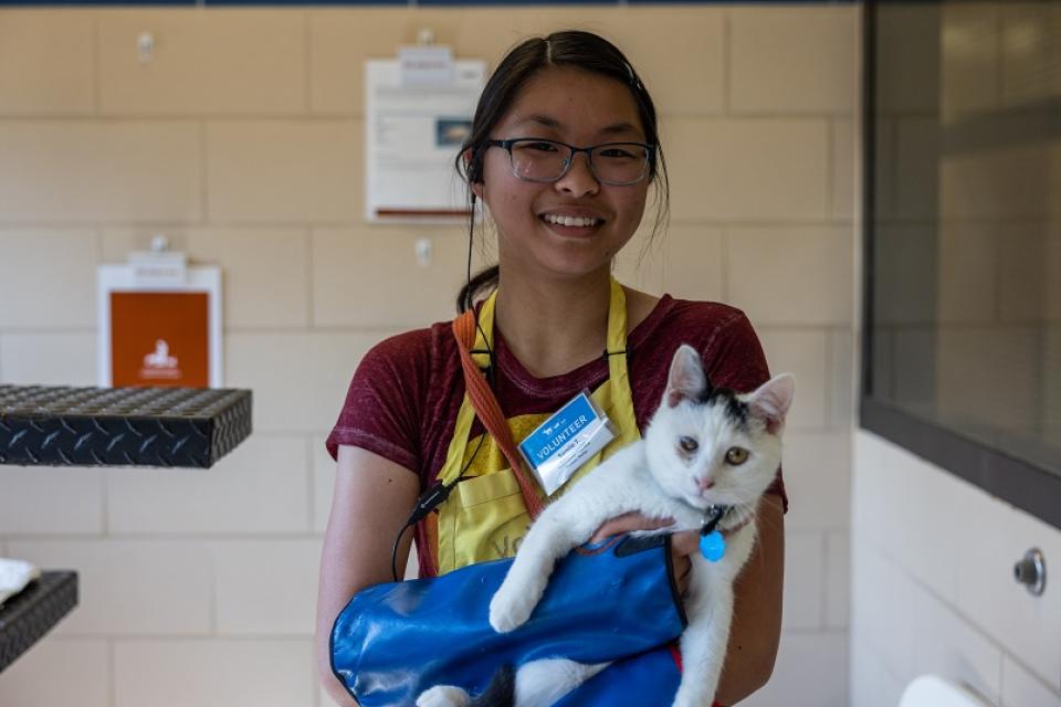 What it's like to be a volunteer at Animal Humane Society | Animal Humane Society