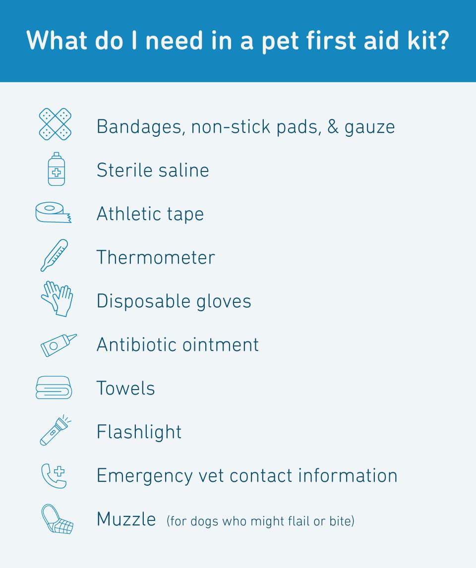 First aid tips for pet parents | Animal Humane Society